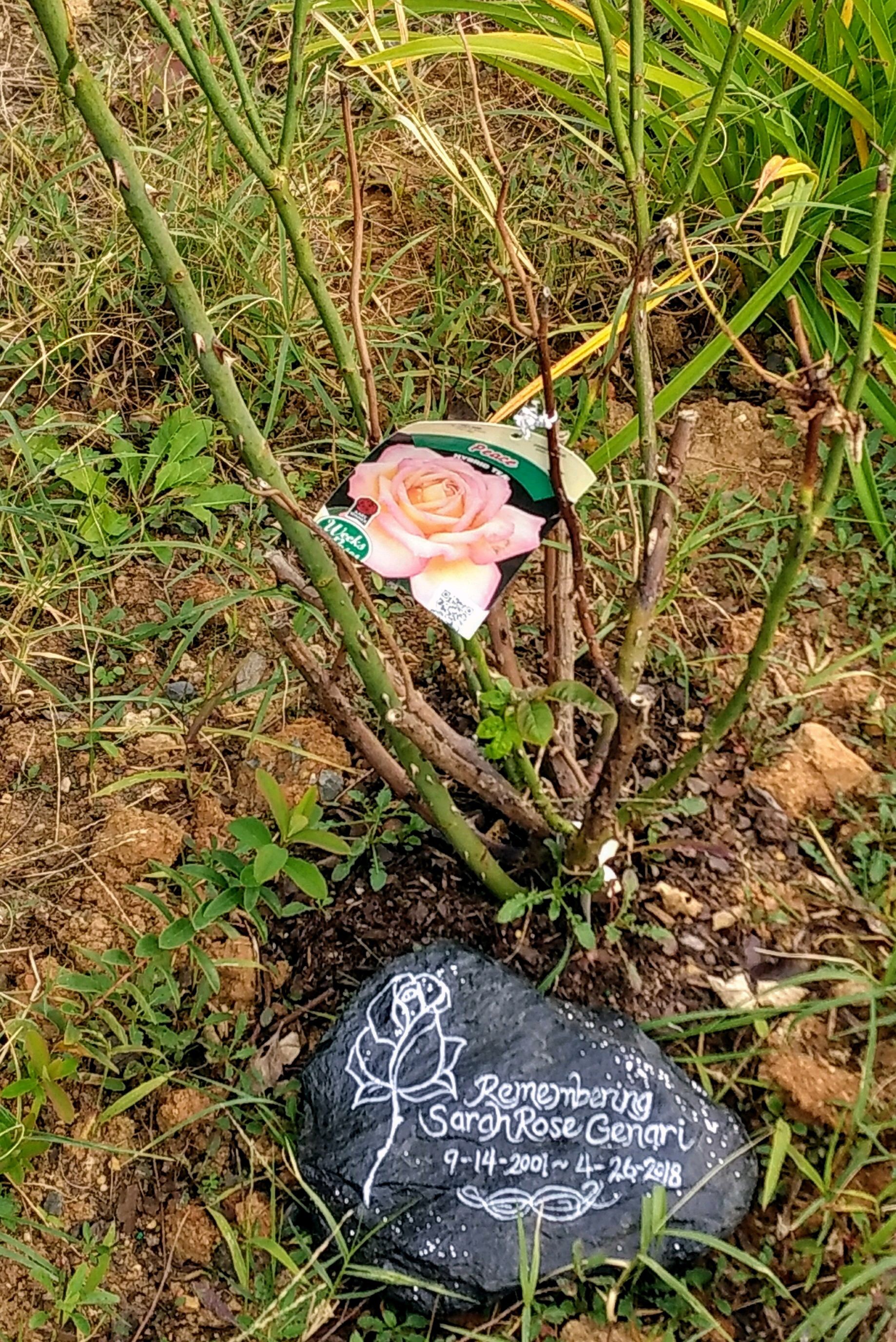 Memorial Stone – Sarah Rose Genari